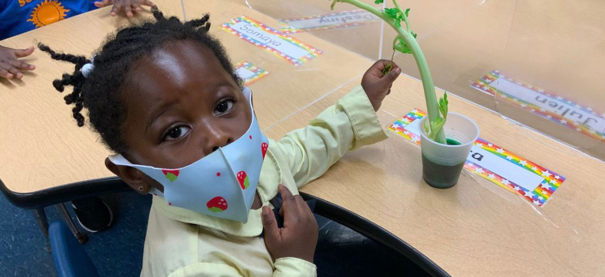 Sunshine Learning Center